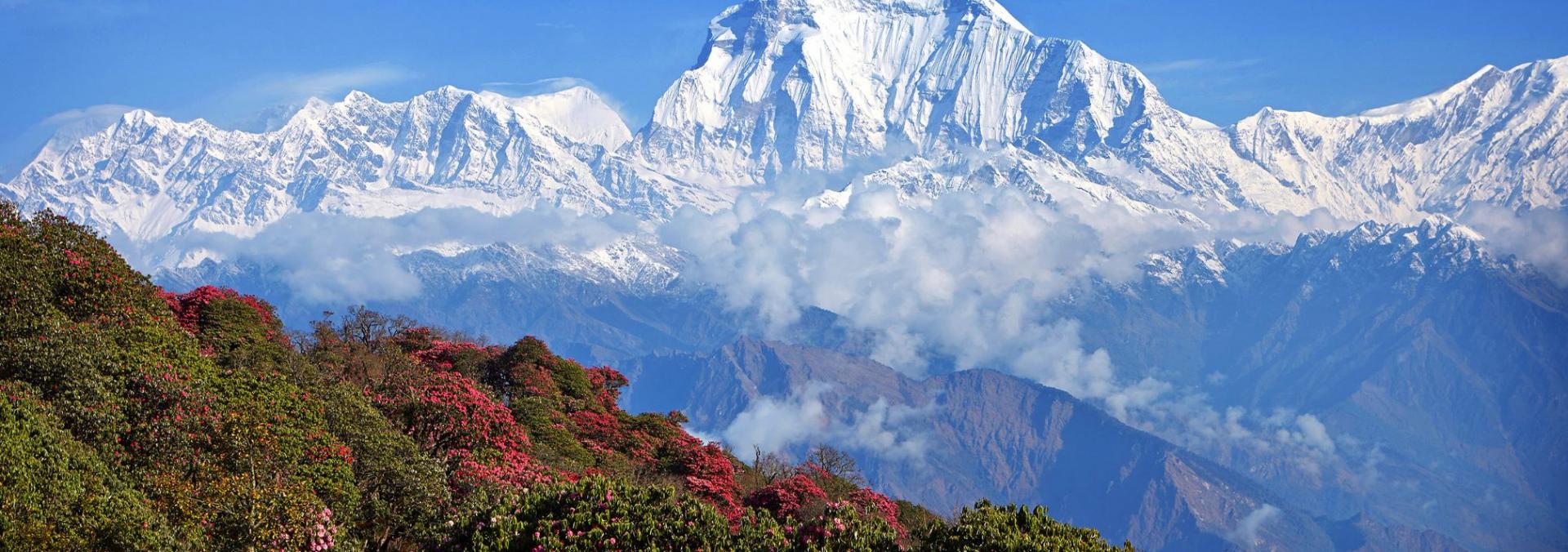 Top-Angebot Nepal: Lodge-Trekking im Everest-Gebiet | DAV Summit Club