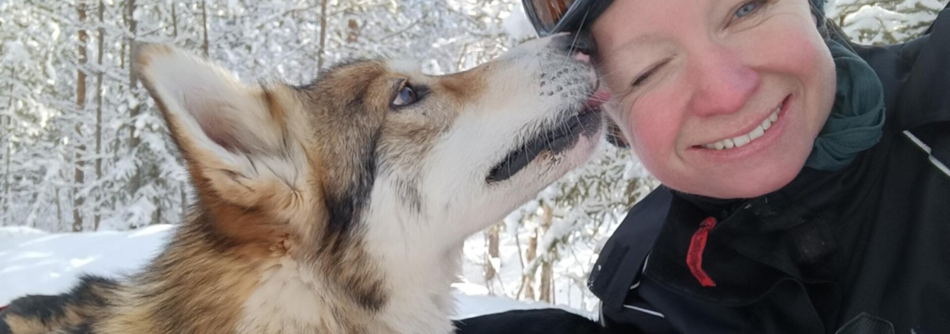 Winterliches Finnland – Husky Tour in Lappland | DAV Summit Club