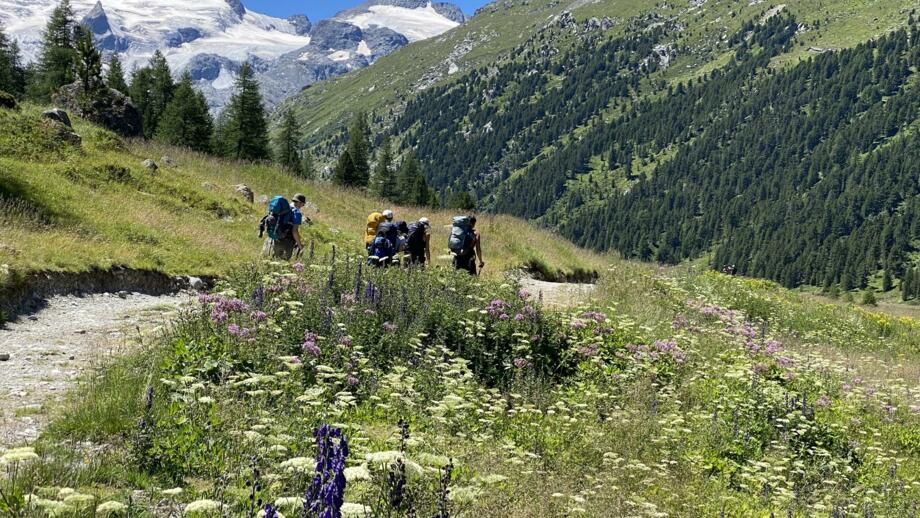 Der Bernina-Trek: Hütten-Wanderwoche durch das Engadin | DAV Summit Club